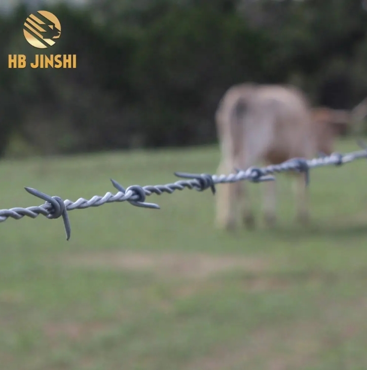 The benefits and dangers of barbed wire